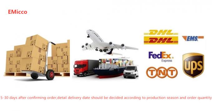 Universal 2 In 1 Audio RoHS Lightning Adapter Cable